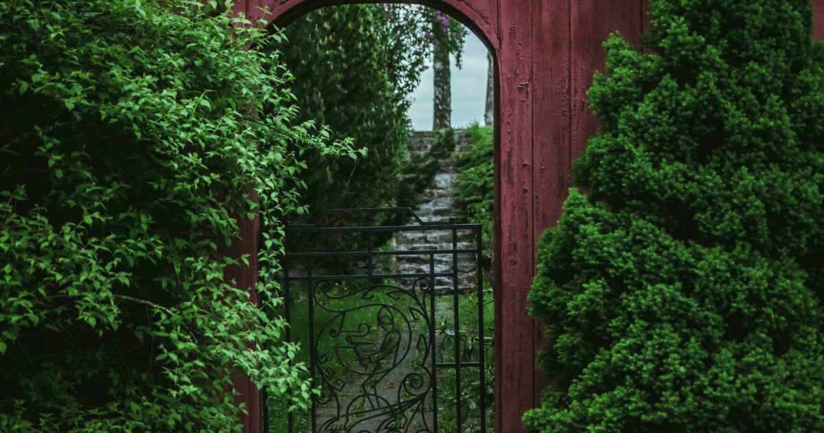 Balancing act: the pros and cons of gated content for nonprofits Balancing act: the pros and cons of gated content for nonprofits